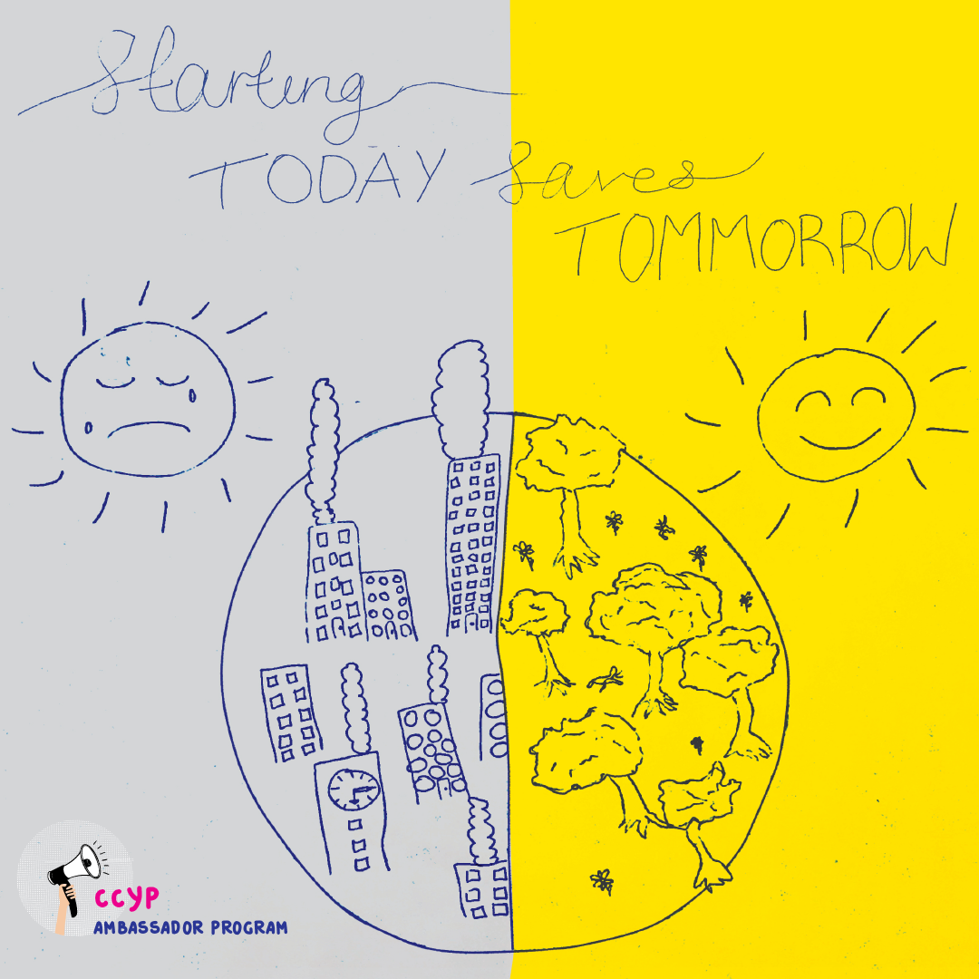 CCYP Ambassadors' thoughts on climate change and the environment - CCYP