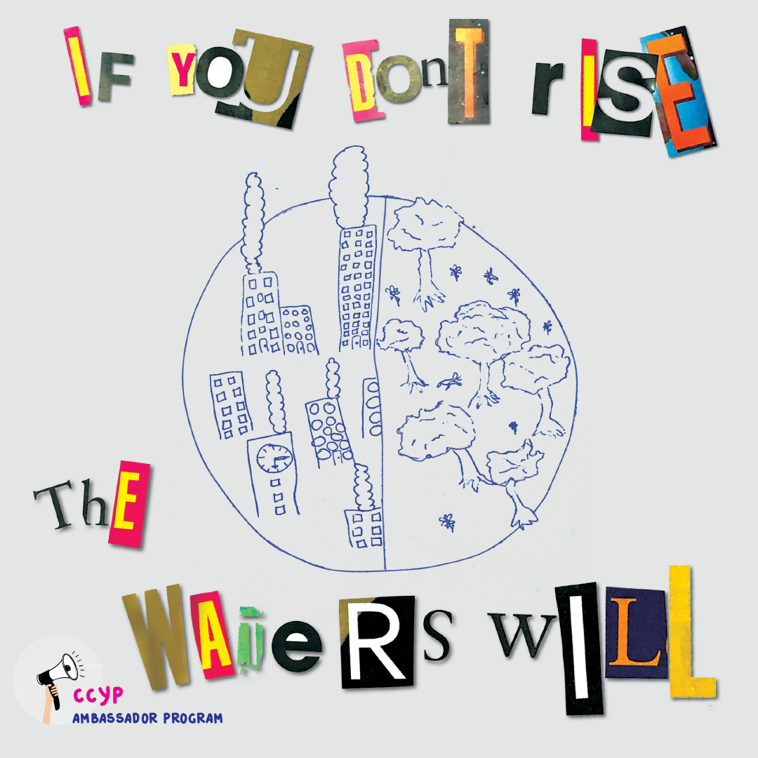 CCYP Ambassadors' thoughts on climate change and the environment - CCYP