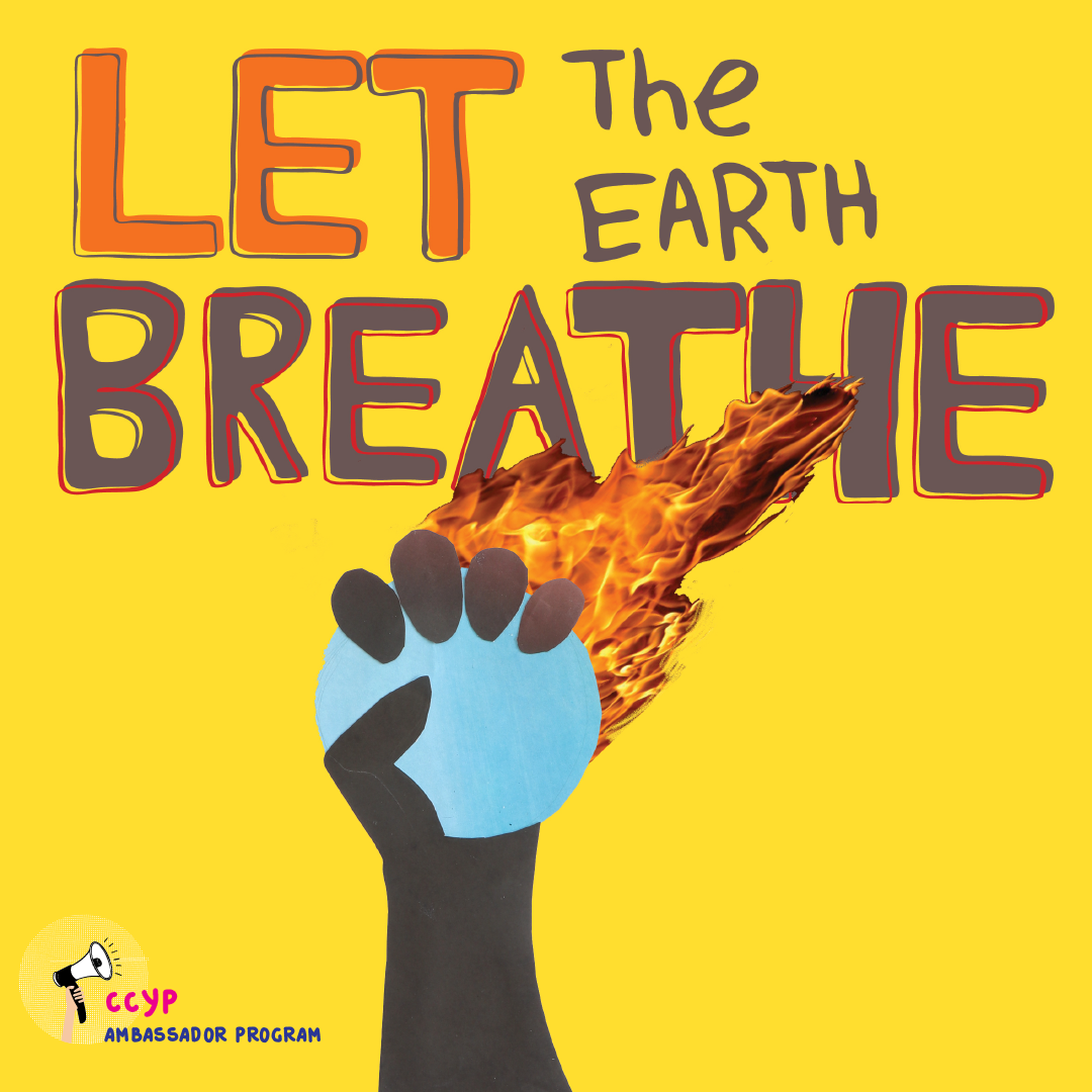 CCYP Ambassadors' thoughts on climate change and the environment - CCYP